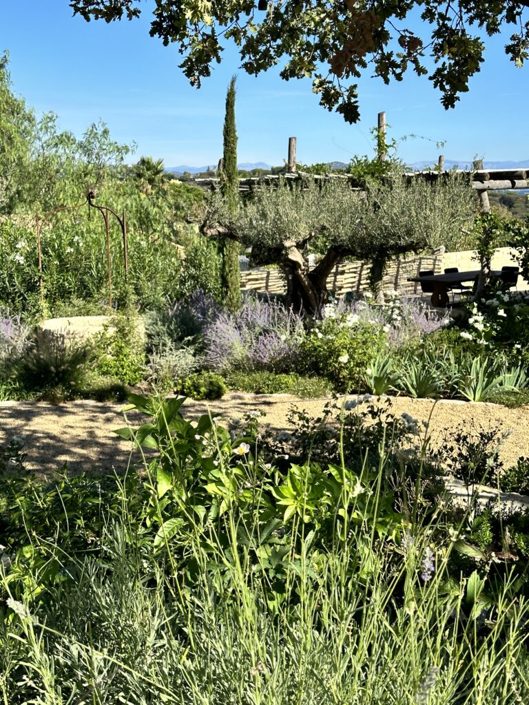 FLO GARDENS - Création de jardins au Thoronet près de Grimaud